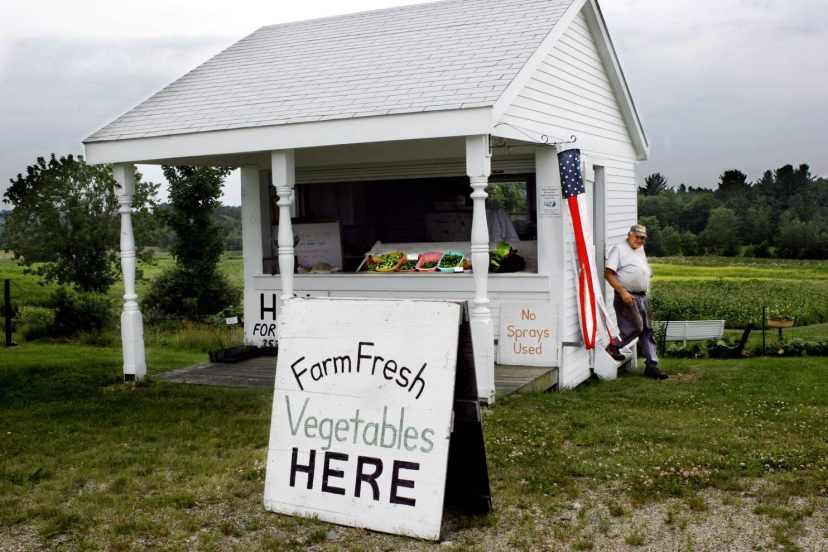 Why small, local, organic farms aren’t the key to fixing our food ...