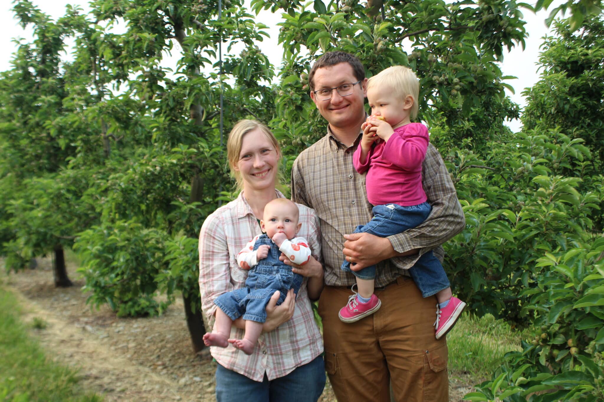 Green's Fruit Farm - Red Tomato